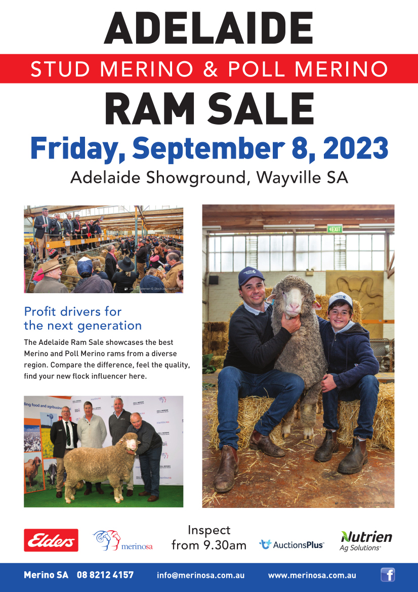 Ram Sales | Merino SA