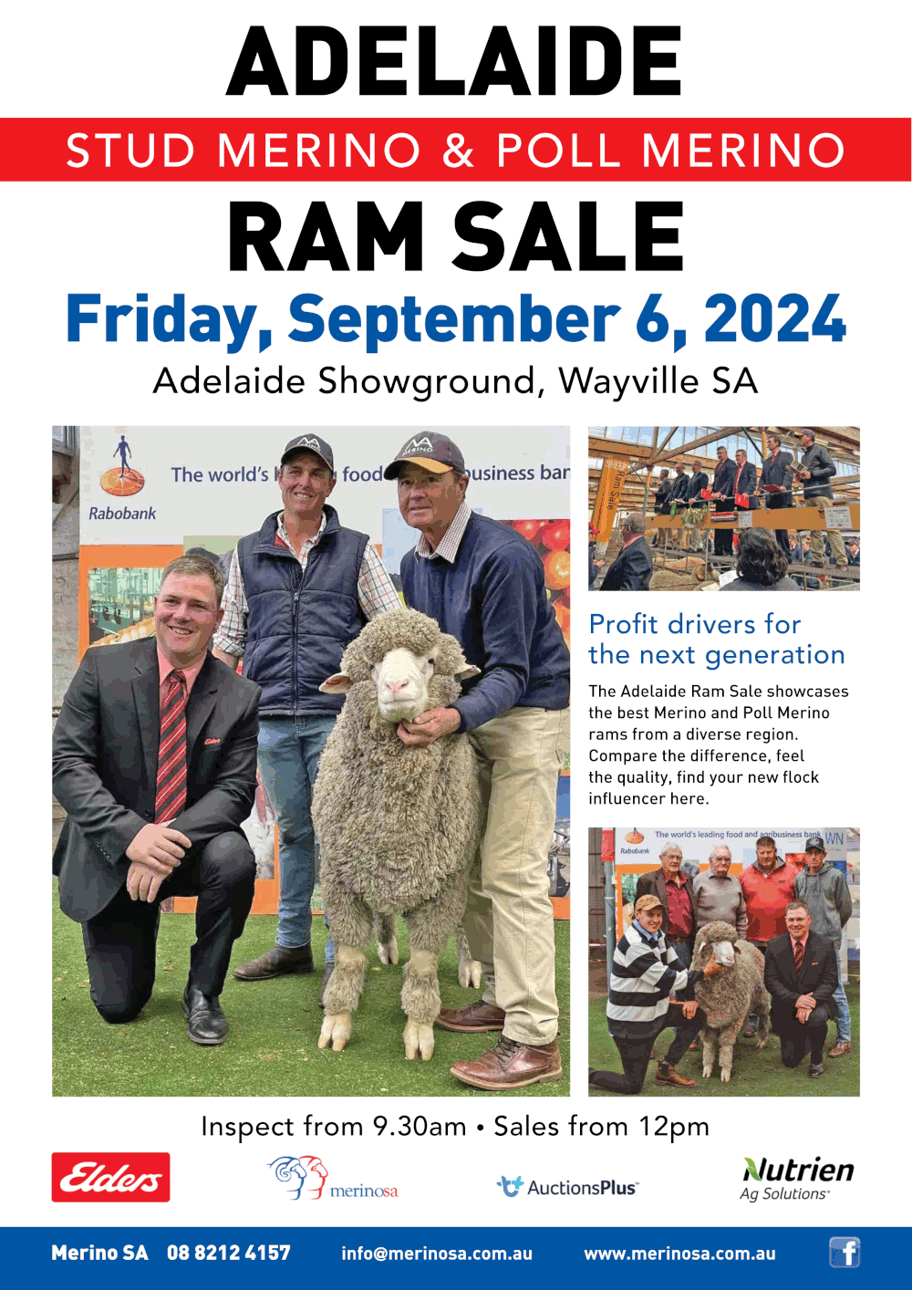 Ram Sales | Merino SA