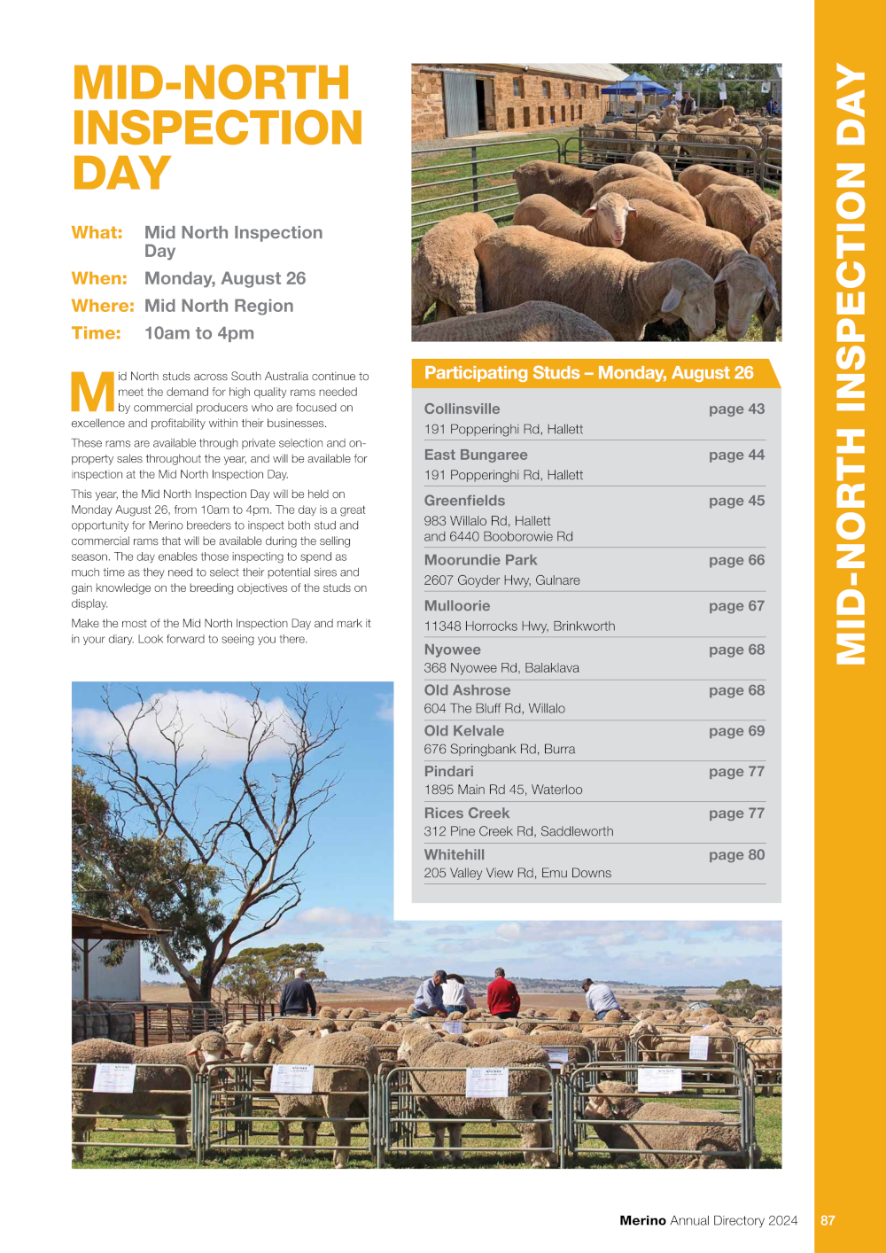 Field Days | Merino SA